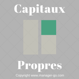 Les capitaux propres : définition, composition et calcul