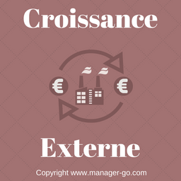 Qu'est-ce que la croissance externe ? Découverte de cette stratégie